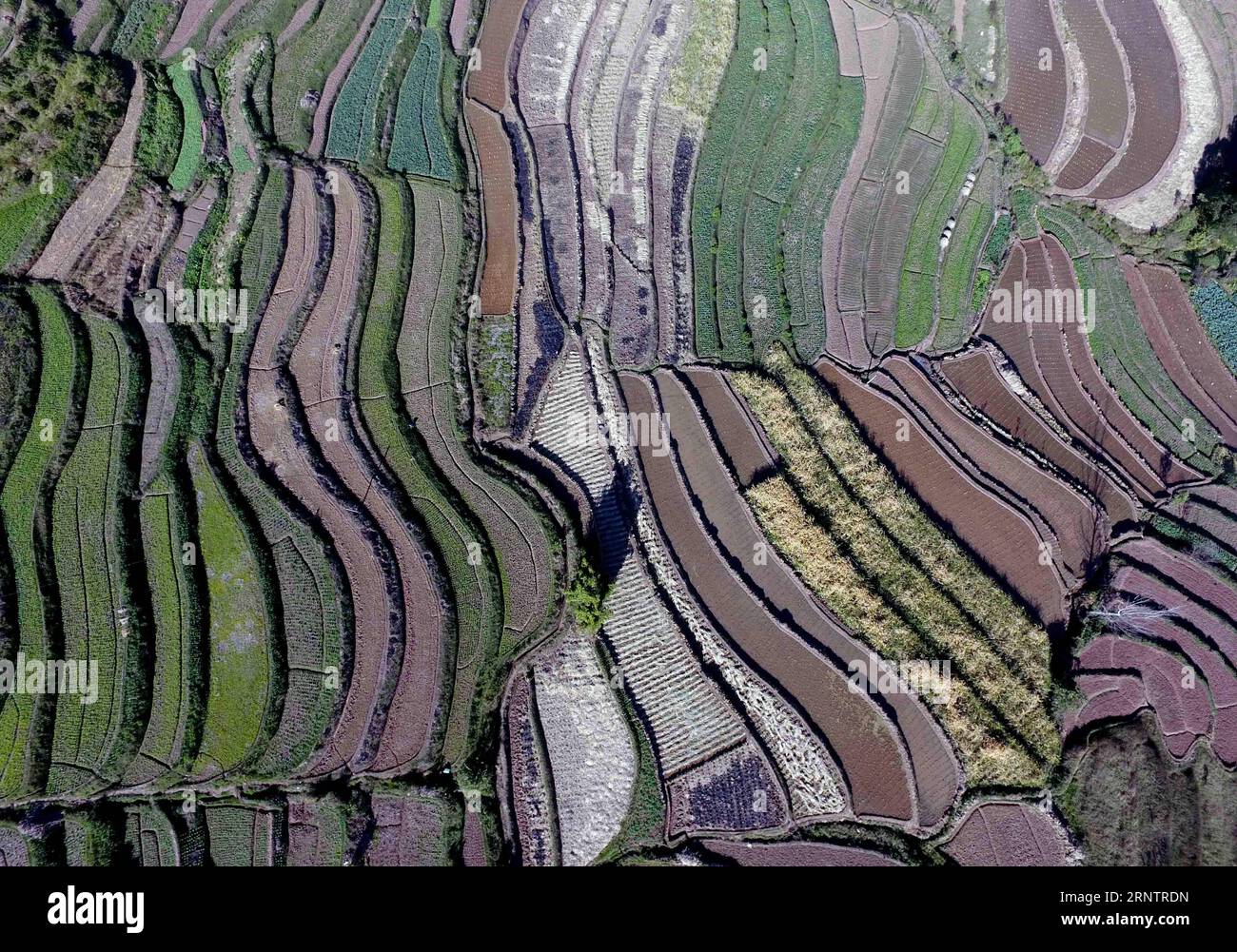 (171117) -- FUMIN, Nov. 17, 2017 -- Aerial photo taken on Nov. 16, 2017 ...