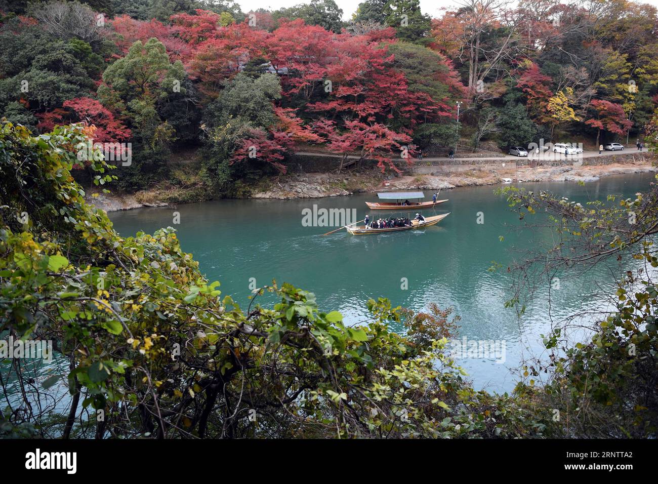 (171118) -- KYOTO, Nov. 18, 2017 -- Photo taken on Nov. 17, 2017 shows ...