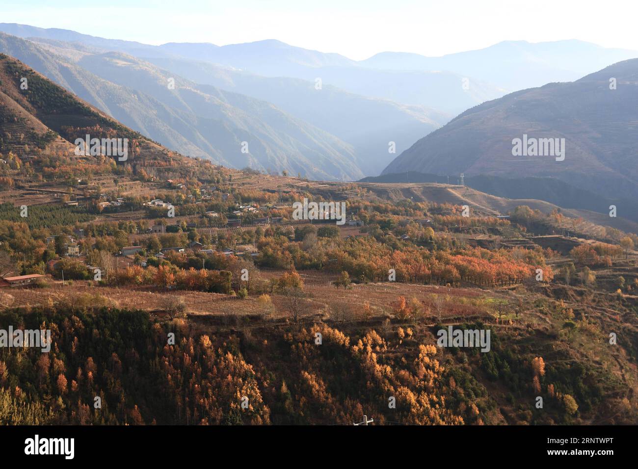 (171121) -- JINCHUAN, Nov. 21, 2017 -- Photo taken on Nov. 18, 2017 ...