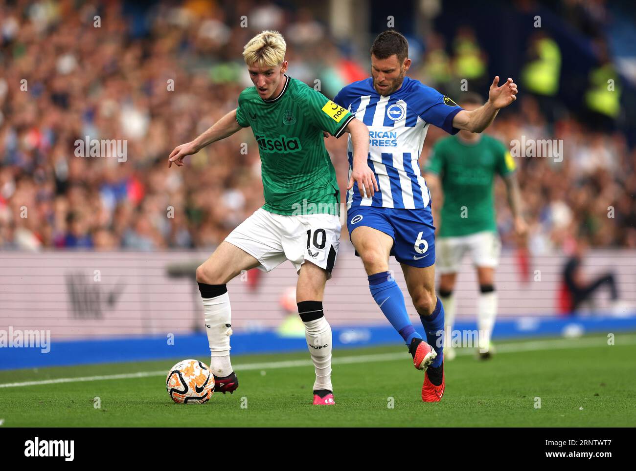 James milner brighton hi-res stock photography and images - Alamy