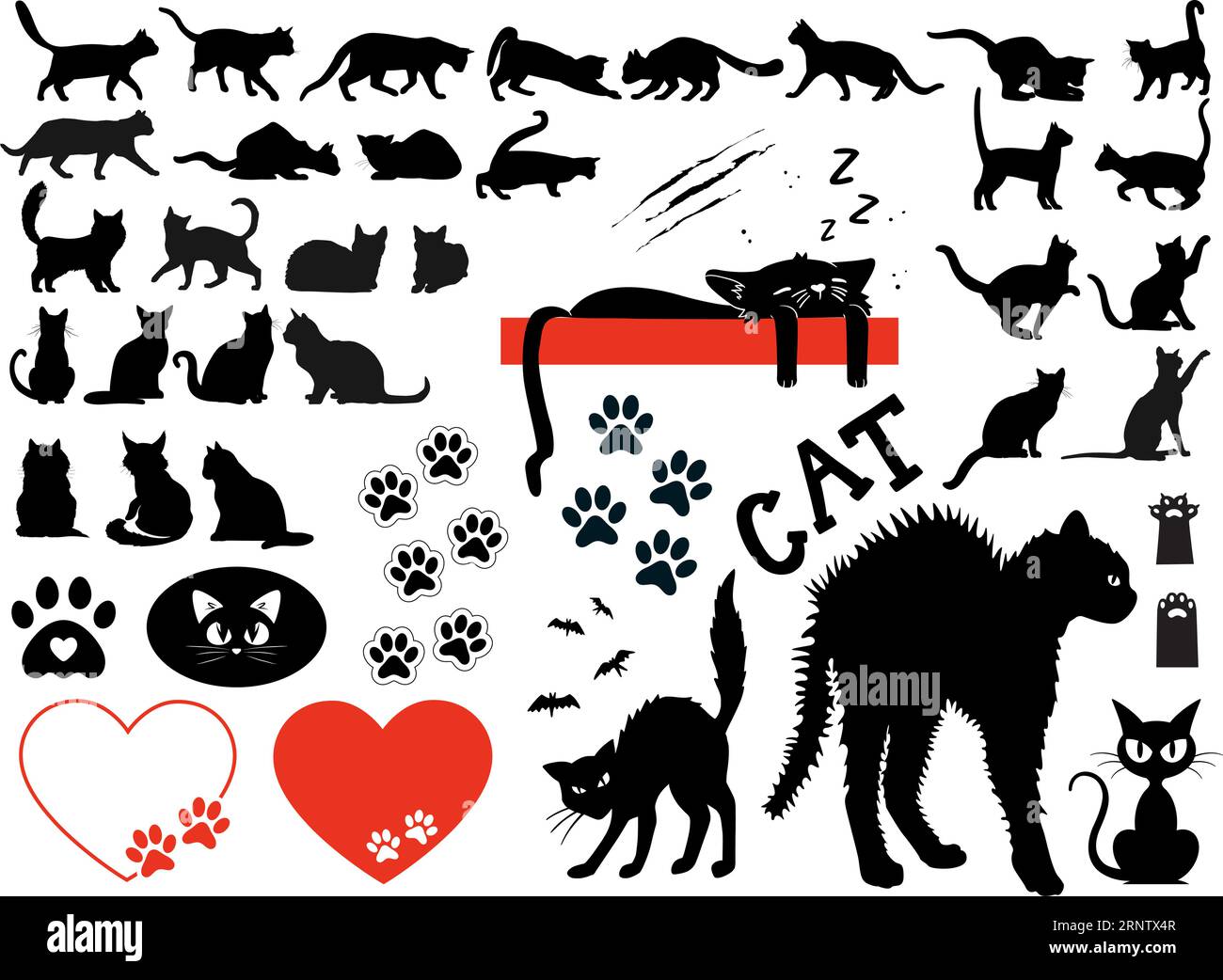 Cats Animal Pet Vector Set Stock Vector Image & Art - Alamy