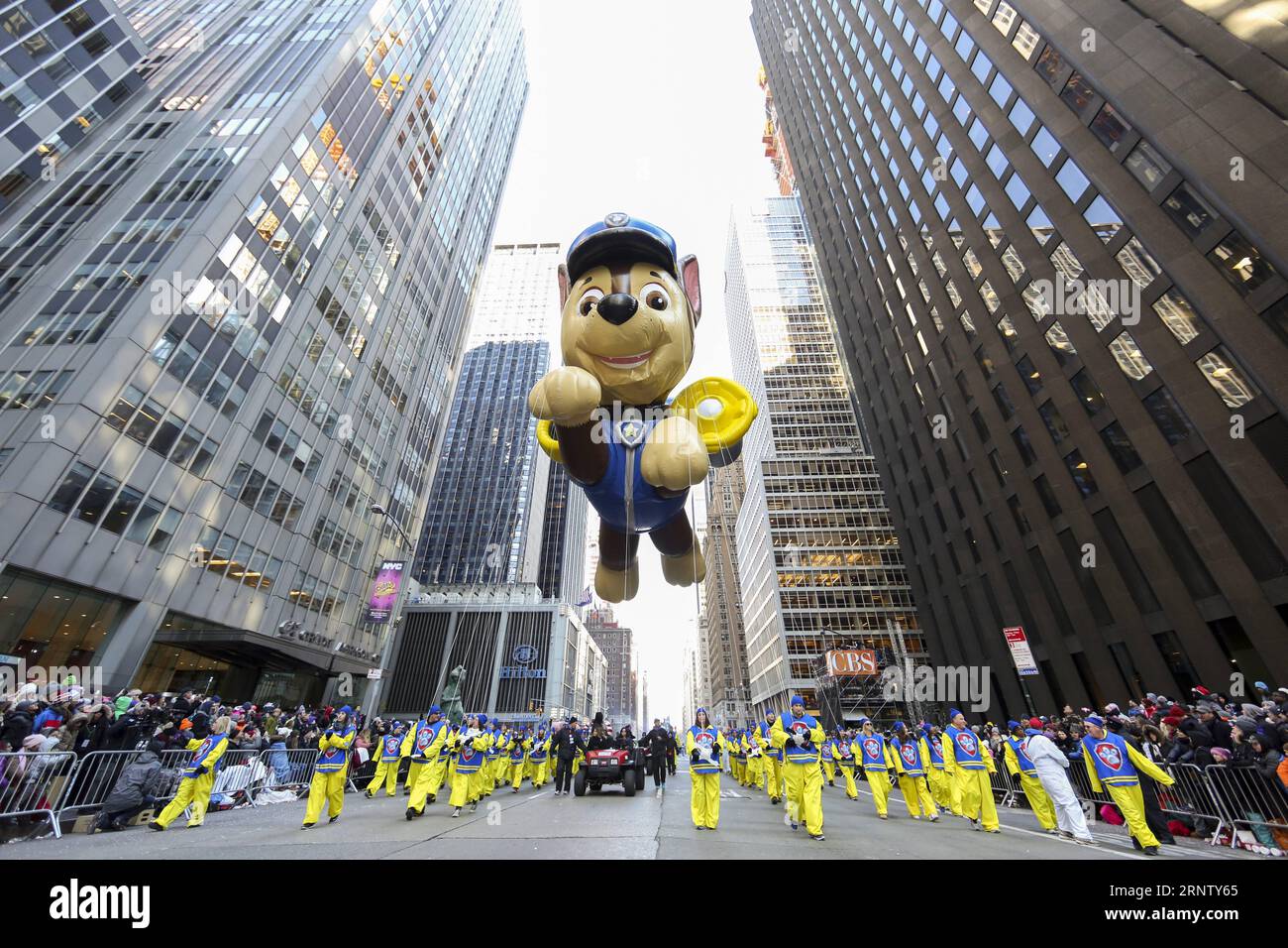 Paw patrol chase hi-res stock photography and images - Alamy