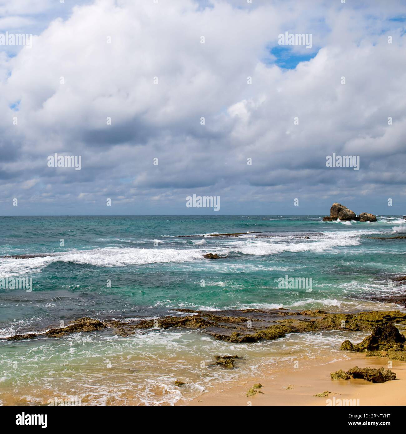 Coral reef sri lanka hi-res stock photography and images - Alamy