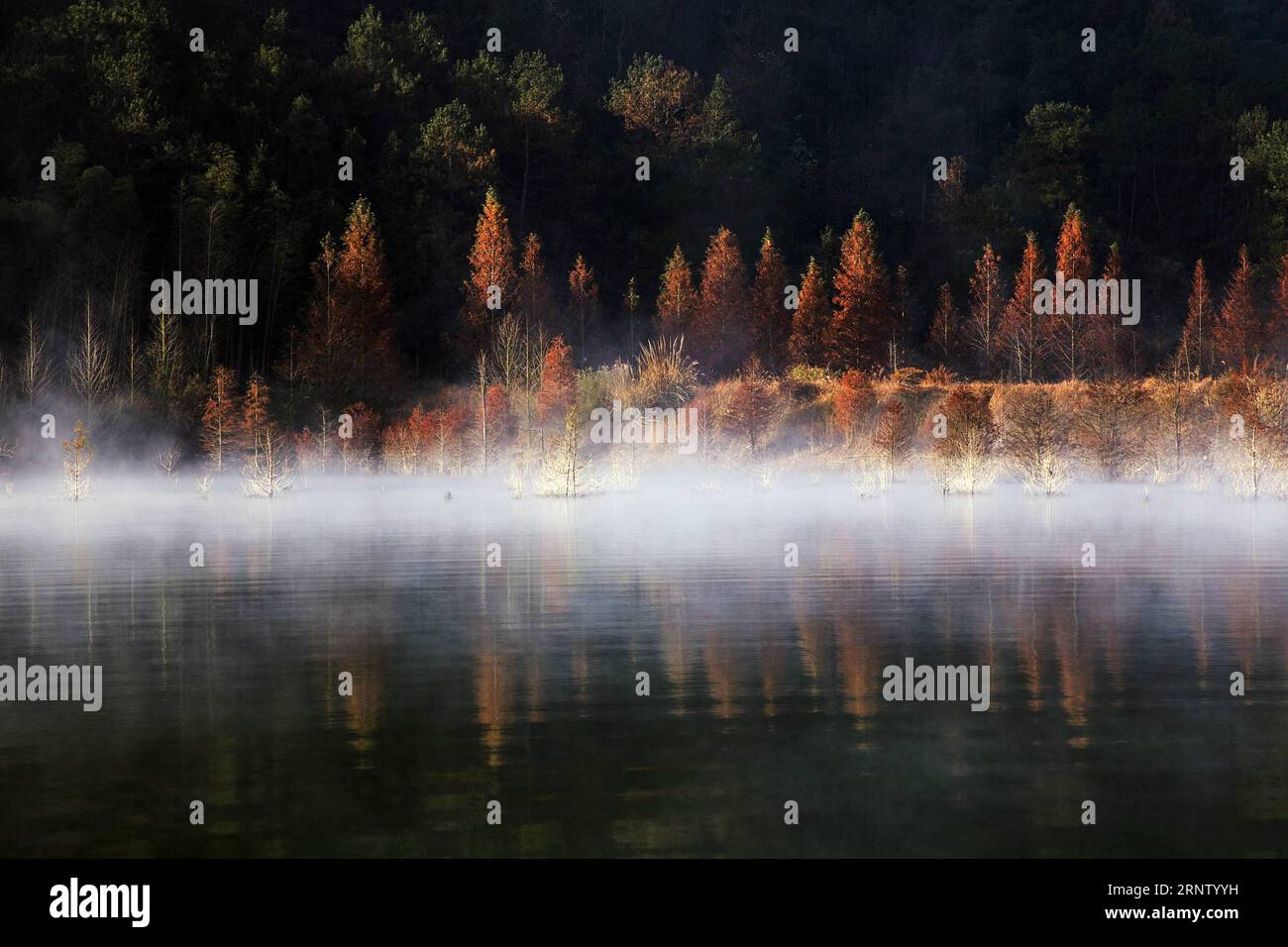 (171125) -- NINGGUO, Nov. 25, 2017 -- Photo taken on Nov. 24, 2017 ...