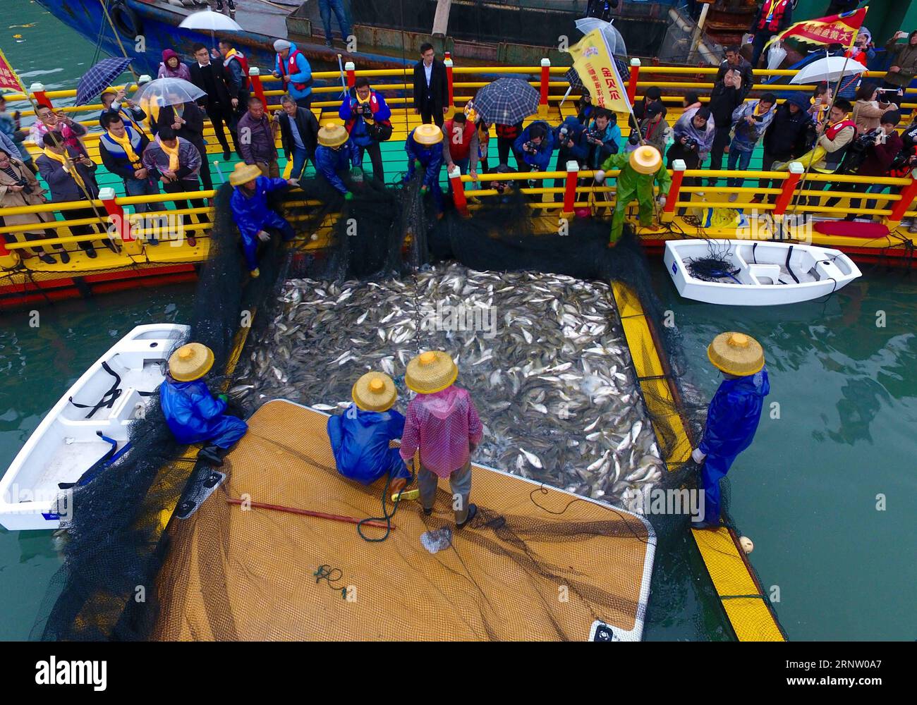 Croakers hi-res stock photography and images - Alamy