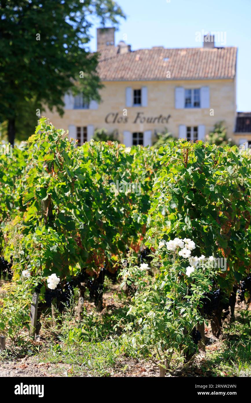Domaine viticole saint emilion hi-res stock photography and images - Alamy