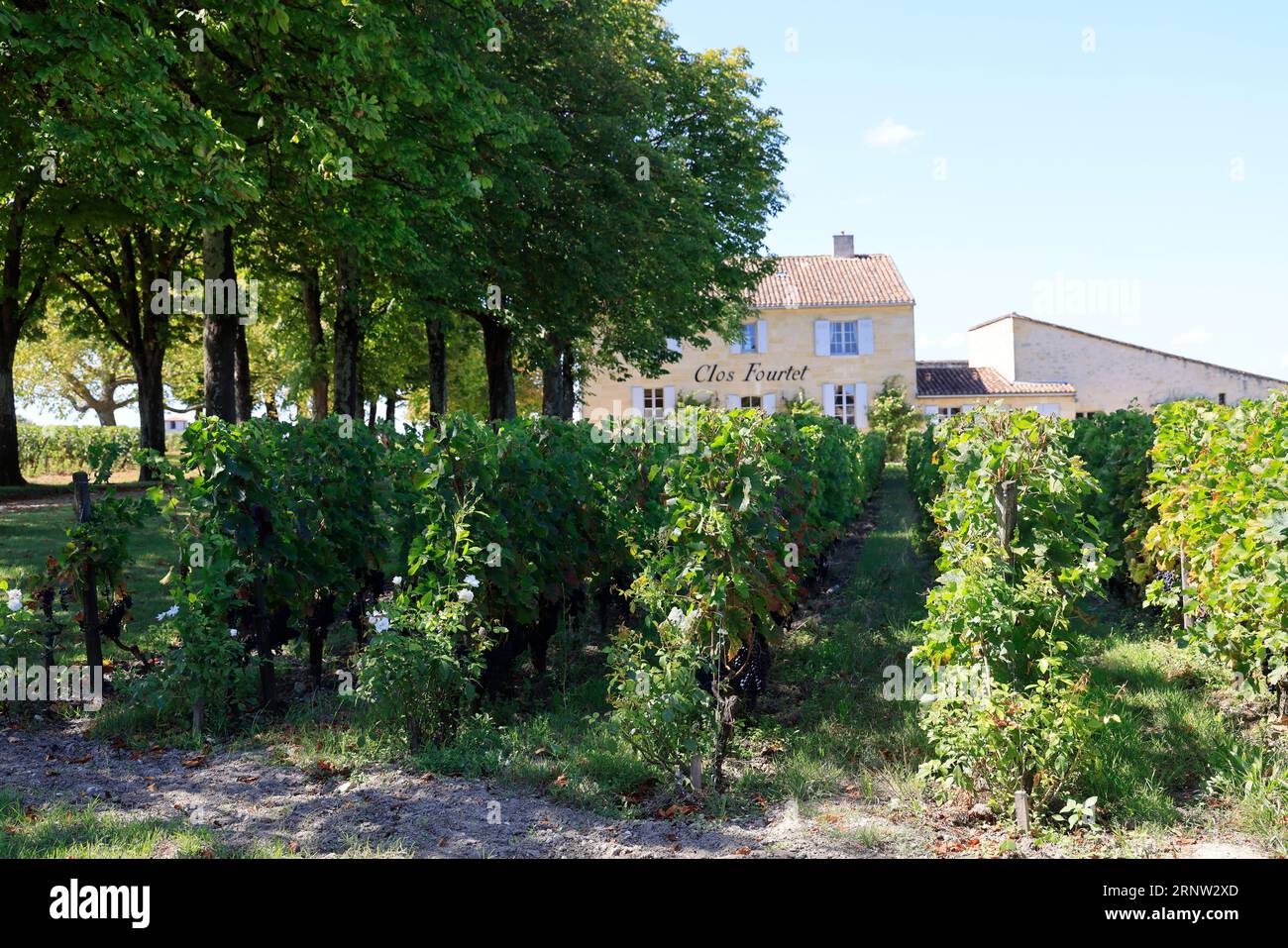Domaine viticole saint emilion hi-res stock photography and images - Alamy