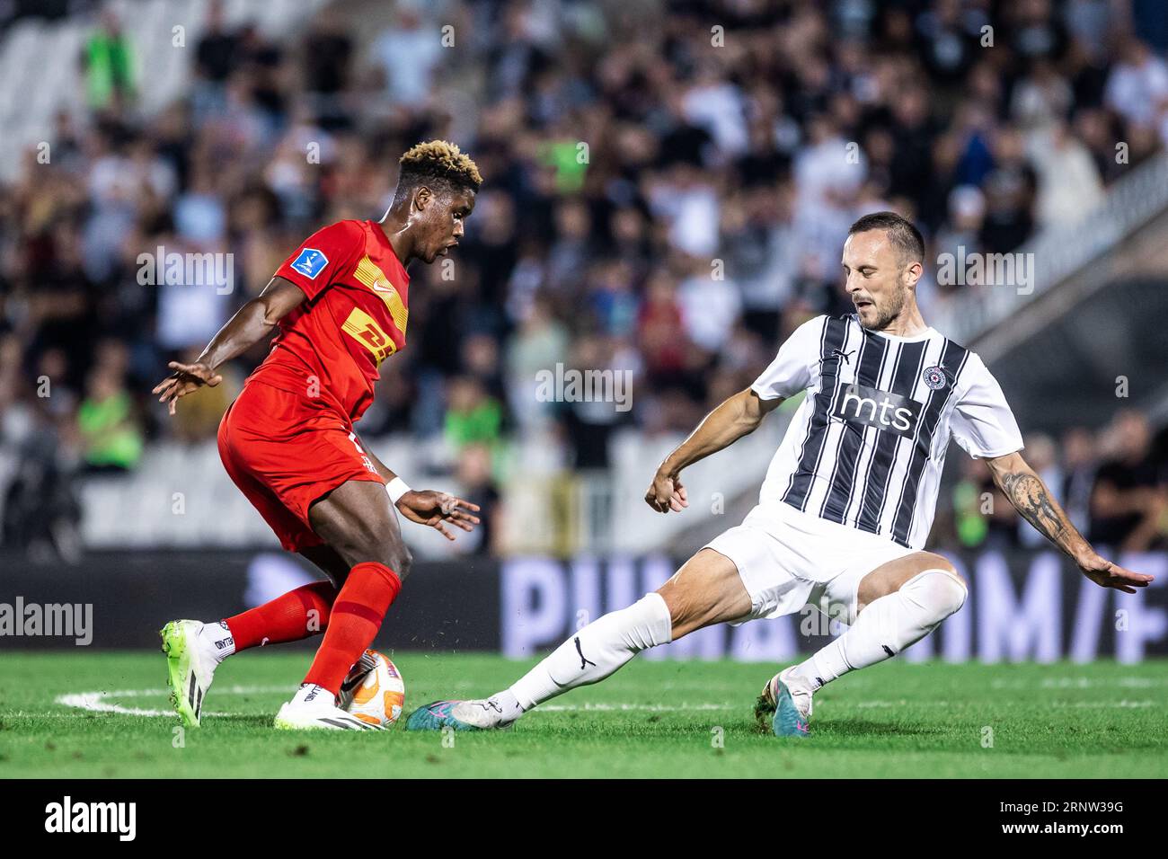 Stojkovic hi-res stock photography and images - Alamy