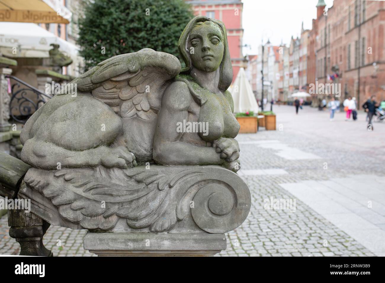 Ornaments, moldings, gargoyle, low reliefs in a sandstone, granite ...