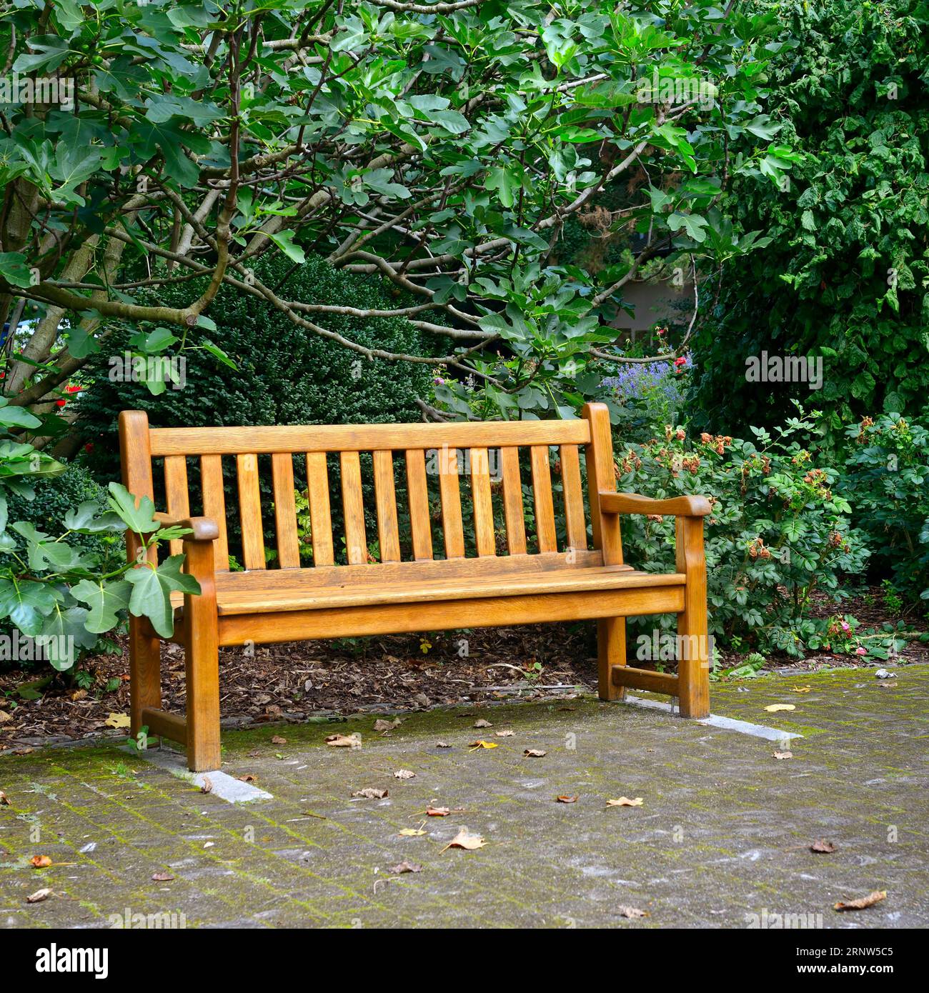 Wooden bench path park hi-res stock photography and images - Alamy