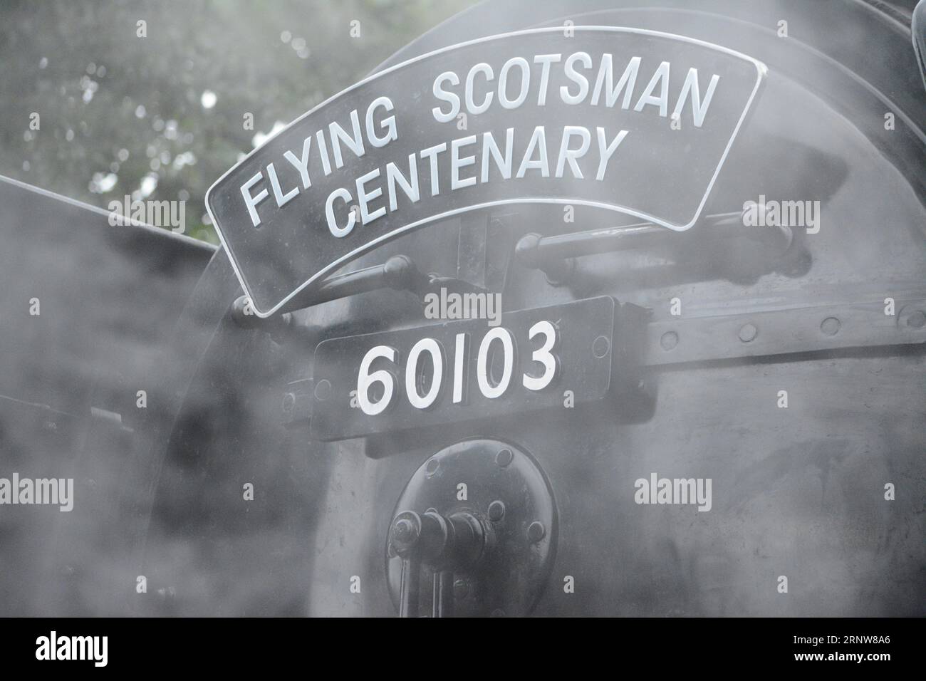 FLYING SCOTSMAN 60103 Steam Locomotive. LNER Class A3 "Pacific ...