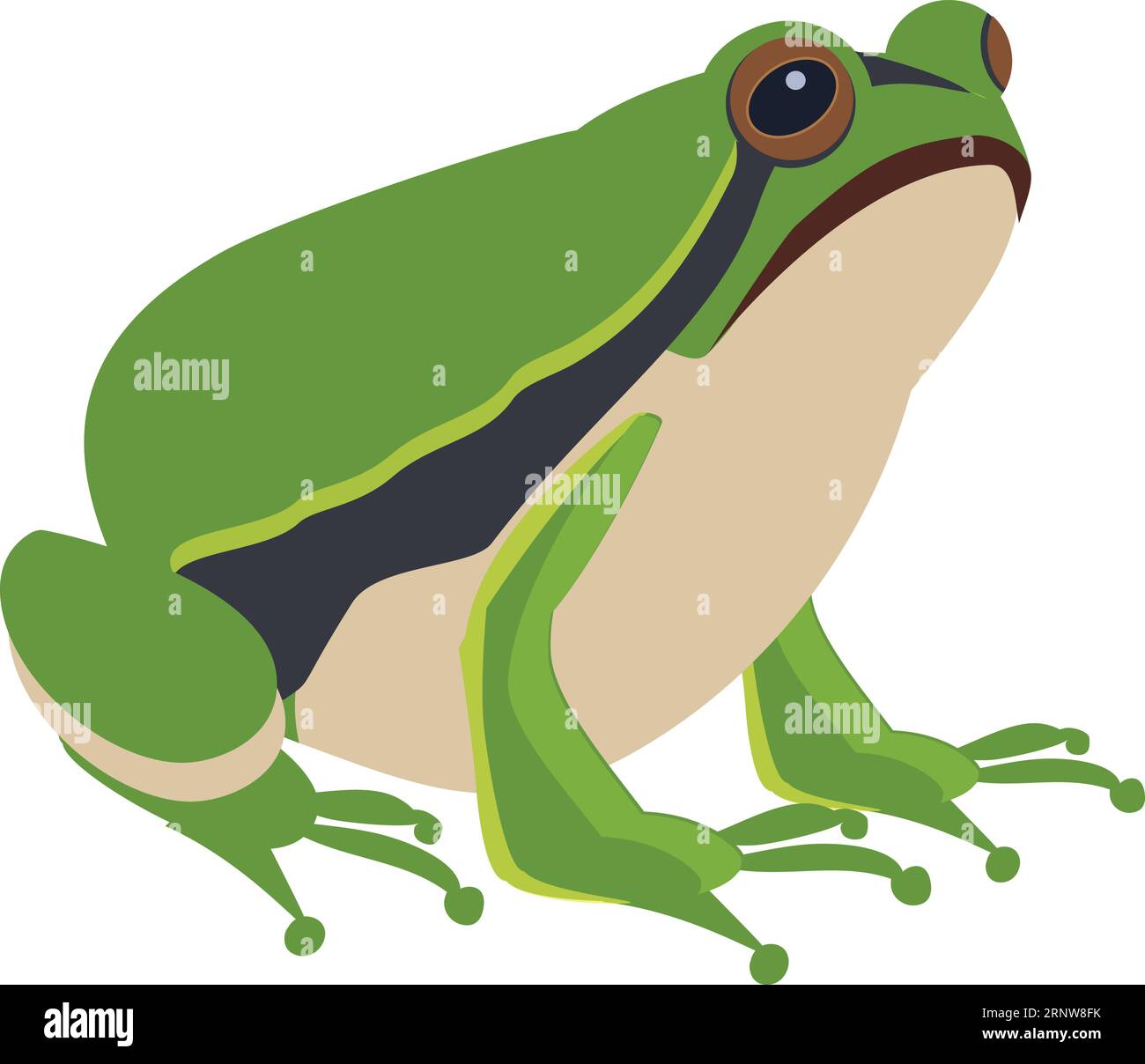 Caecilian Stock Vector Images - Alamy