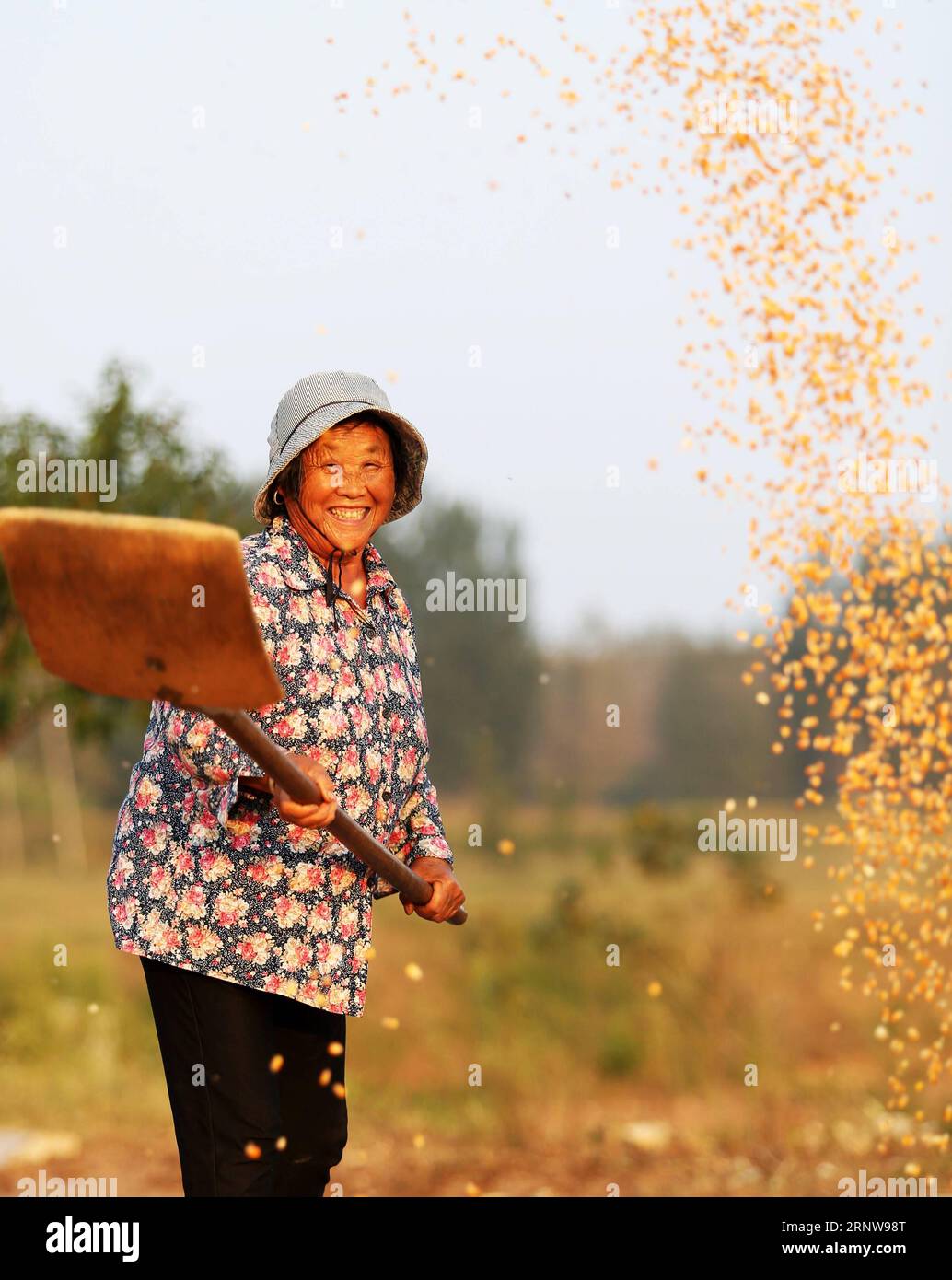 China grain output hi-res stock photography and images - Alamy