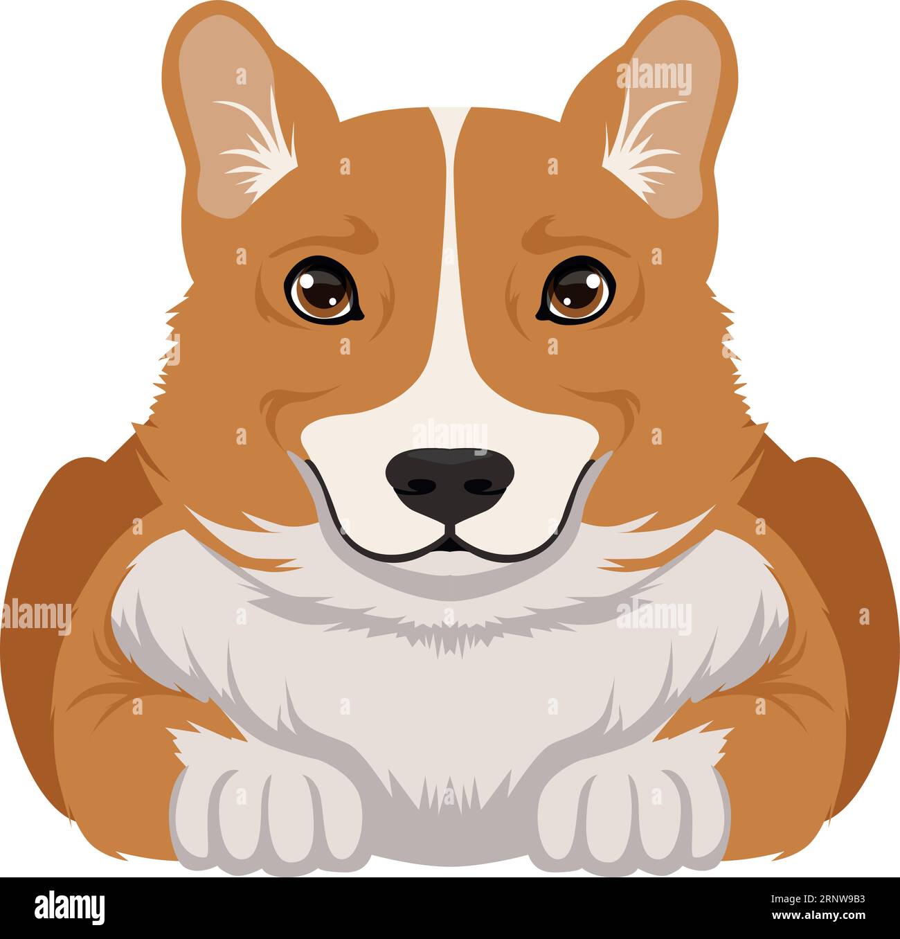 Corgi welsh pembroke isolated Stock Vector Images - Alamy