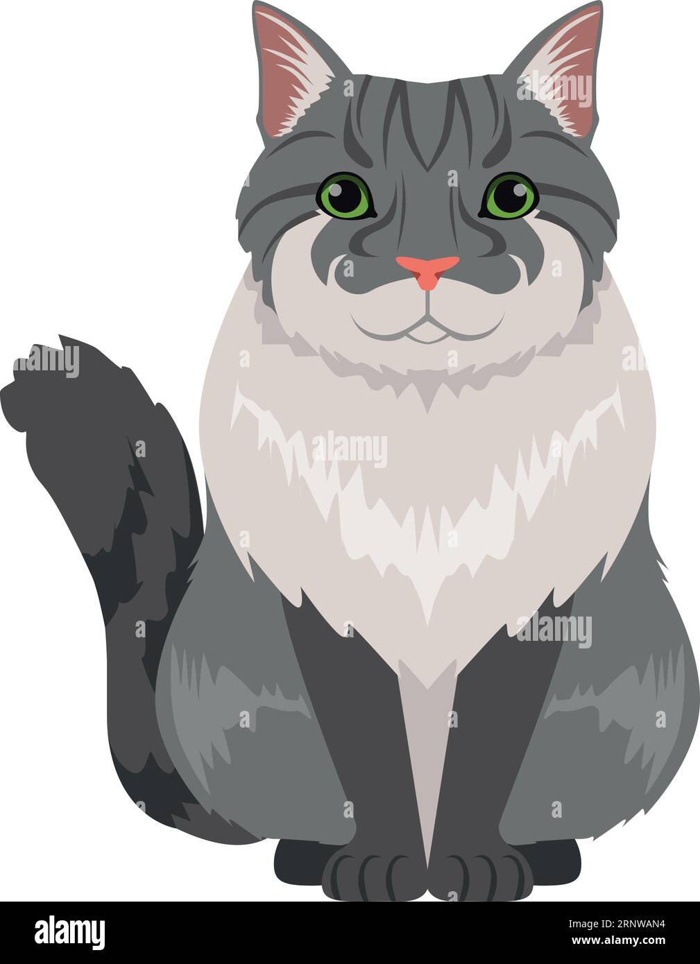 American bobtail domestic cat Cut Out Stock Images & Pictures - Alamy