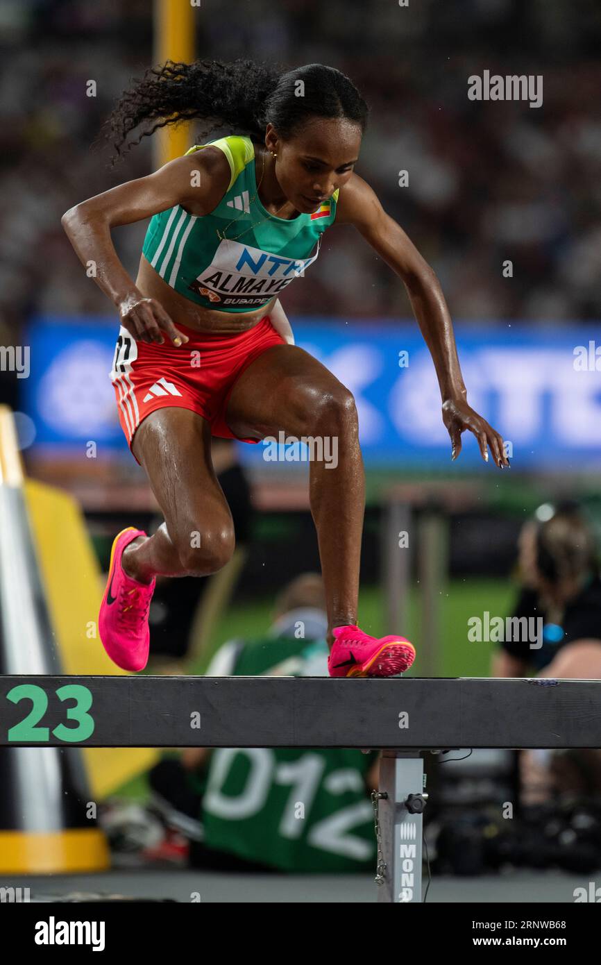 The line up for the womens 3000m hi-res stock photography and images ...