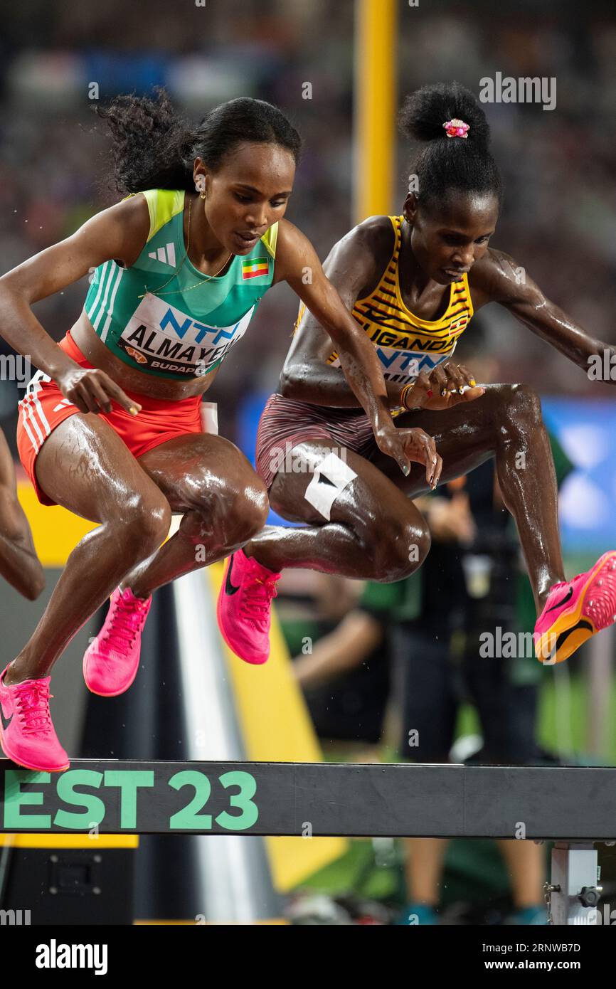 Sembo Almayew of Ethiopia competing in the women’s 3000m steeplechase ...