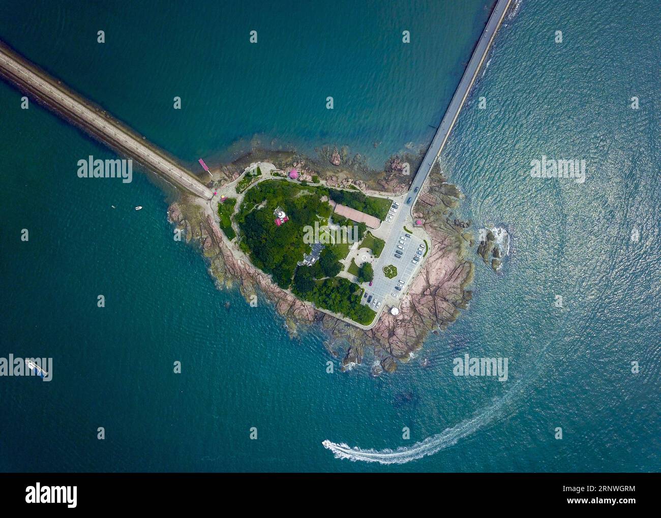 China bird island shandong hi-res stock photography and images - Alamy