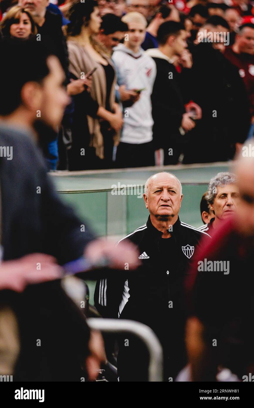 Joaquim americo guimaraes estadio hi-res stock photography and images - Alamy