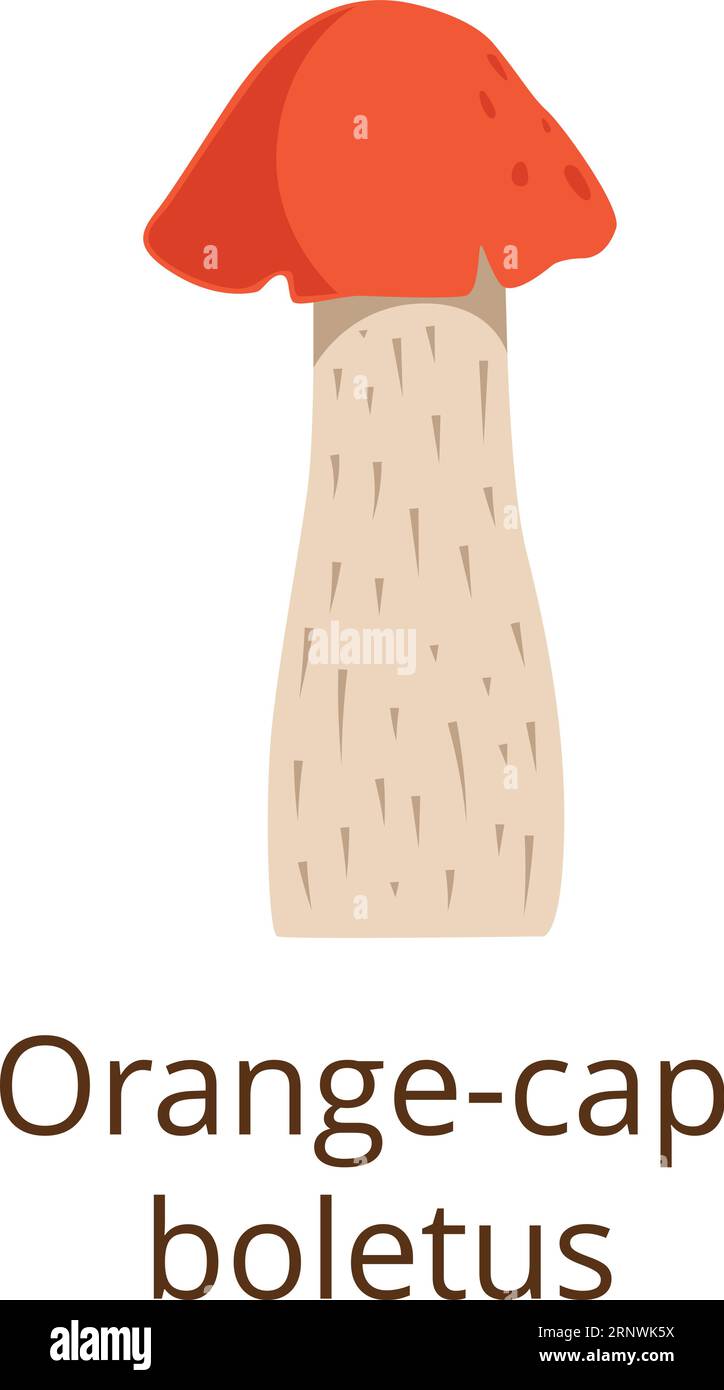 White mushrooms in moss Stock Vector Images - Alamy