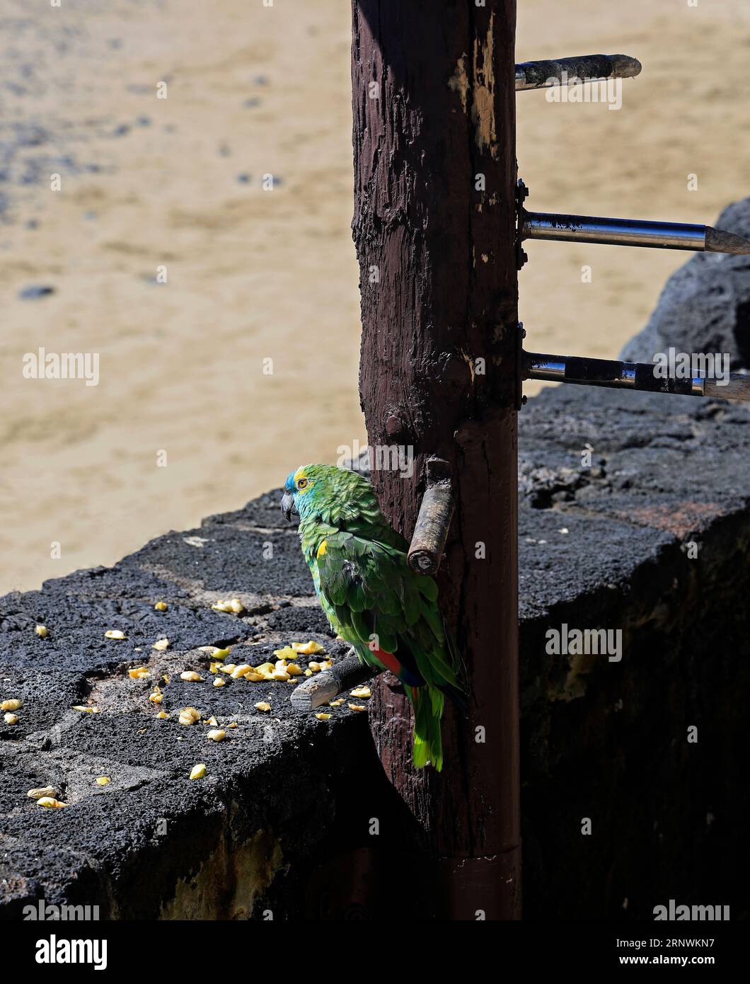 Old in playa blanca lanzarote hi-res stock photography and images - Alamy