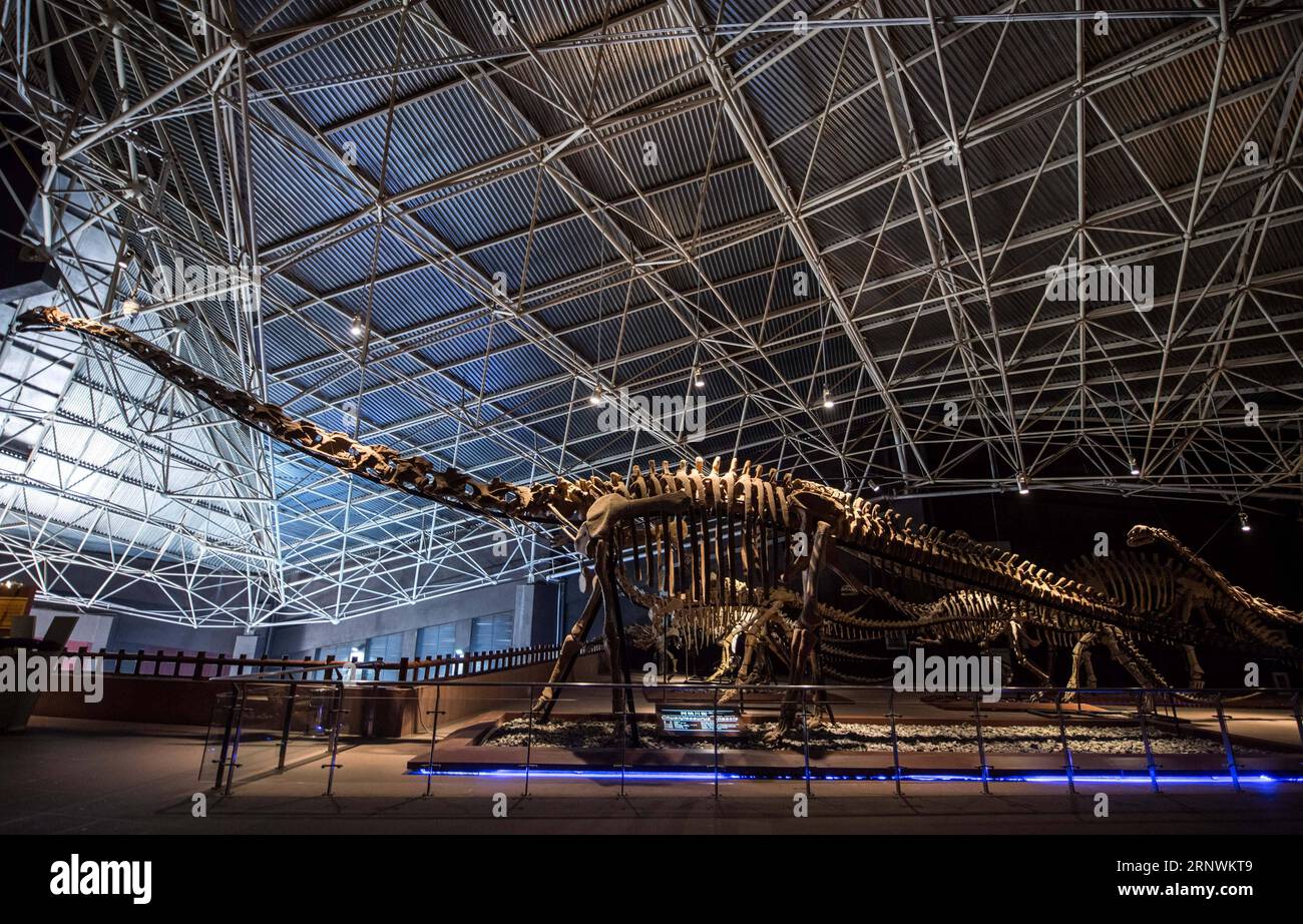 6 5 meter high hi-res stock photography and images - Alamy