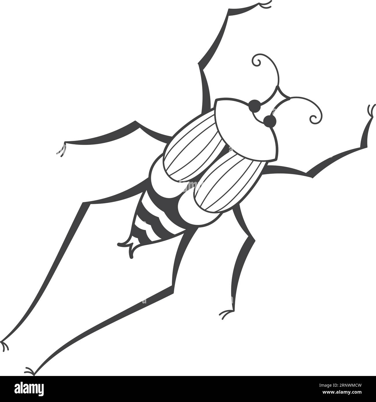 Beetle black line icon. Bug insect drawing Stock Vector Image & Art - Alamy