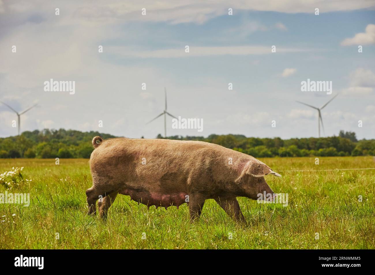 Eco village denmark hi-res stock photography and images - Alamy