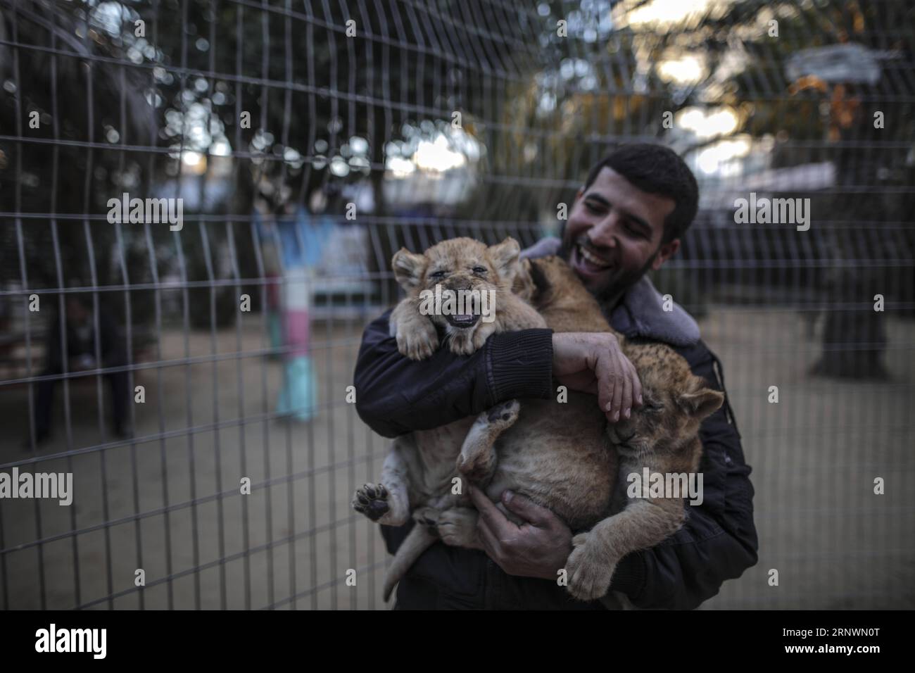 Mideast gaza rafah lion hi-res stock photography and images - Alamy
