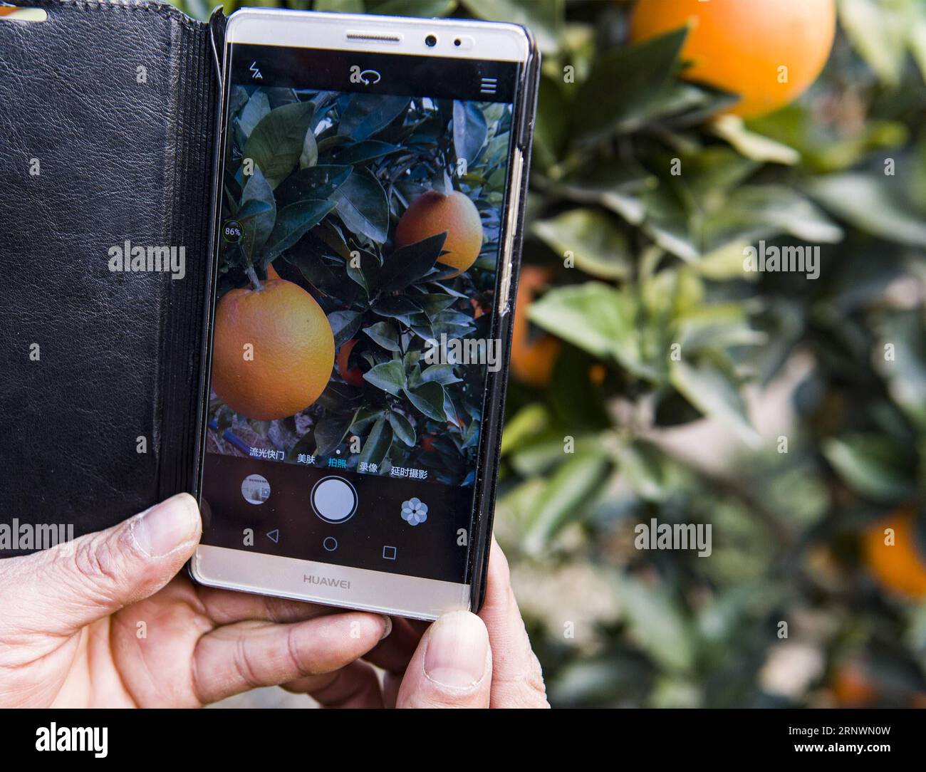 Developd hi-res stock photography and images - Alamy