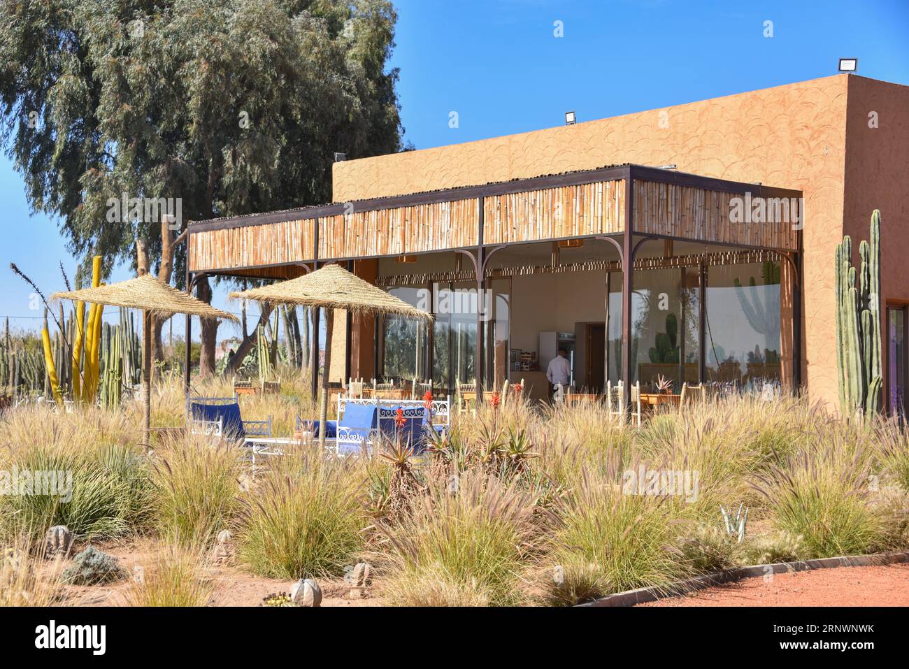 Marrakech, Morocco - Feb 25, 2023: Entrance to Cactus Thiemann, the ...