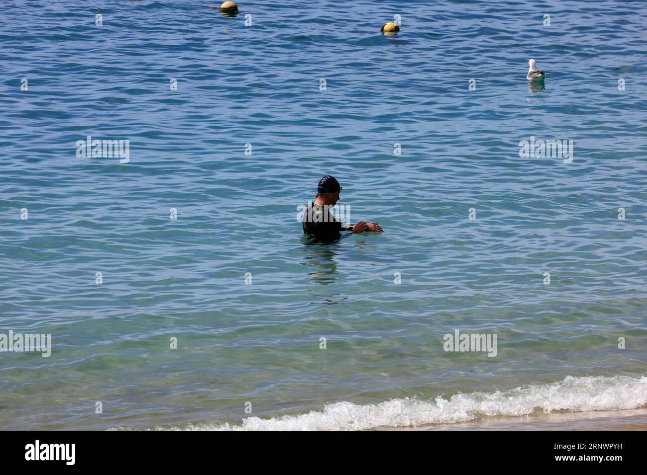 Triathlon training - swimmer in wet suit checks timing after a swim ...