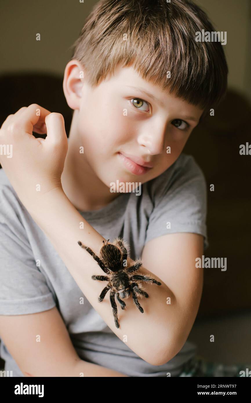 Arachnid agility hi-res stock photography and images - Alamy