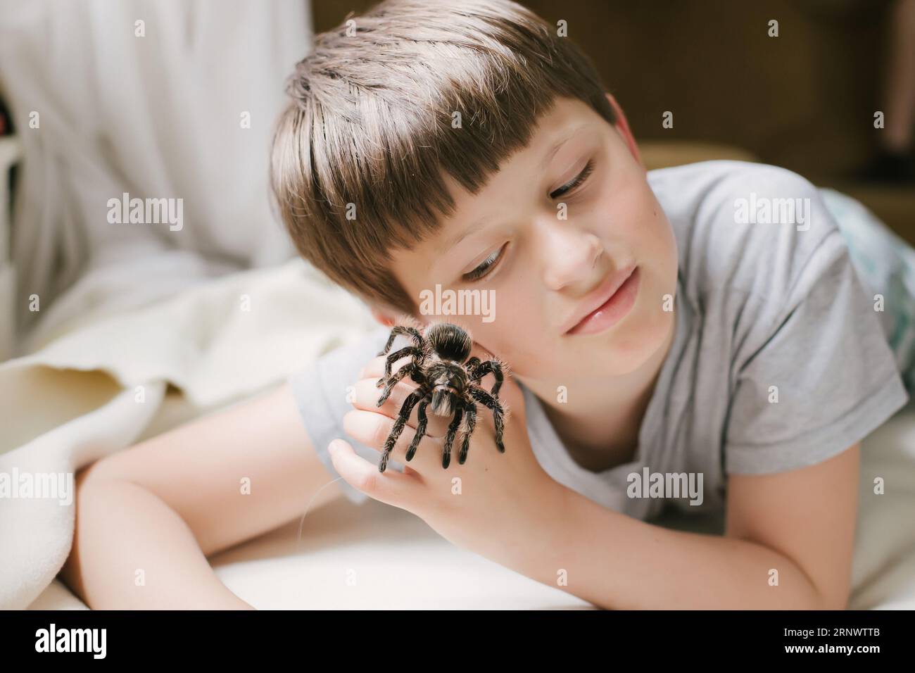 spider is crawling on arm. Simmwall Halloween. terrible female ...