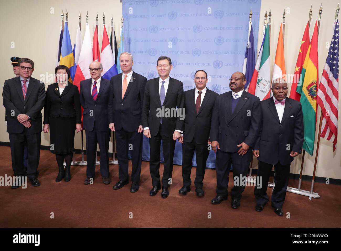 Un members flags hi-res stock photography and images - Alamy