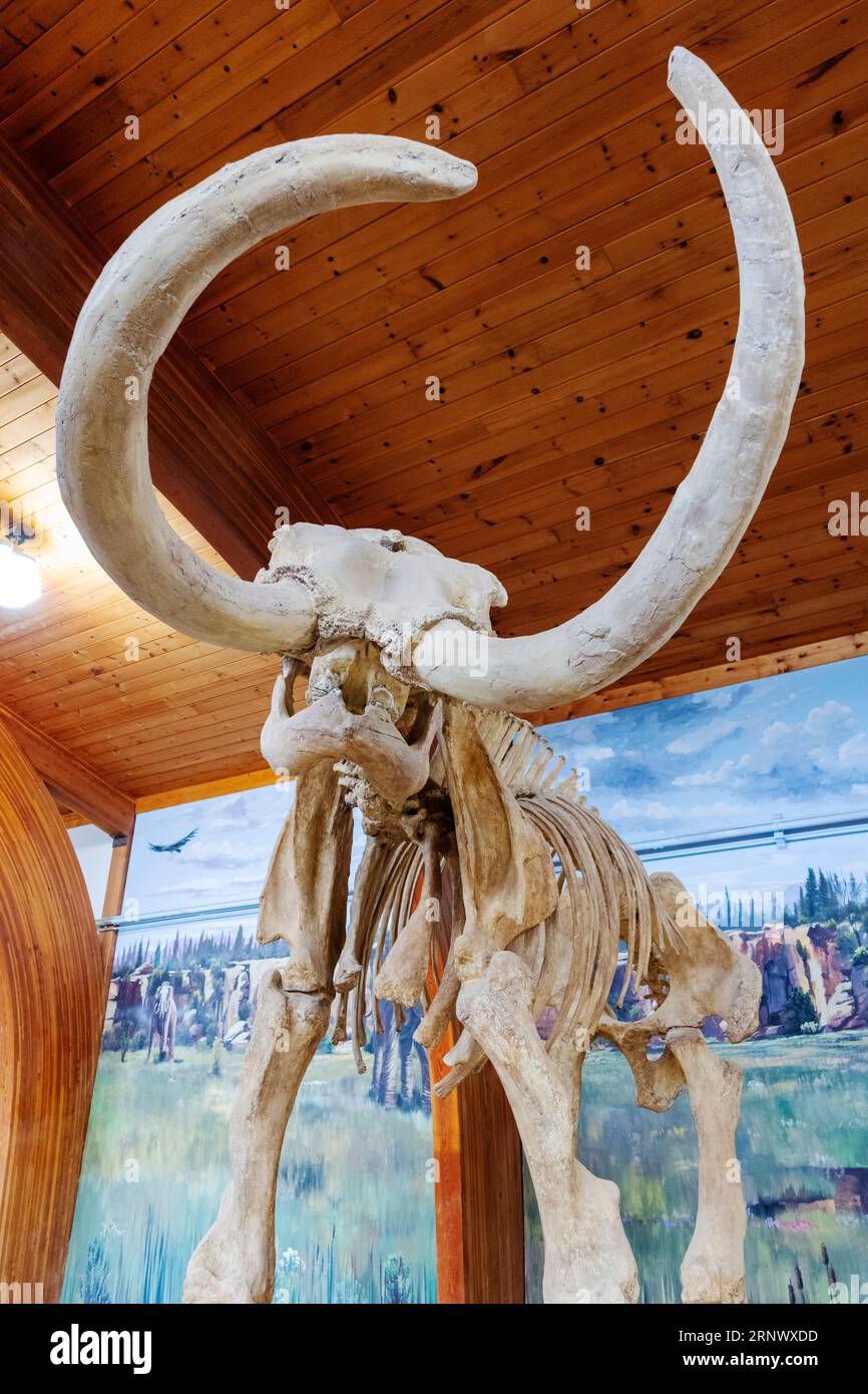The Mammoth Site; museum & paleontological site; Hot Springs; South ...