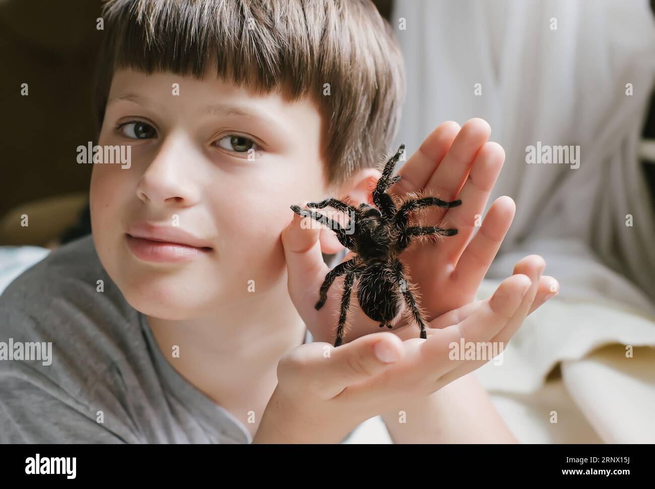 spider is crawling on arm. Simmwall Halloween. terrible female ...
