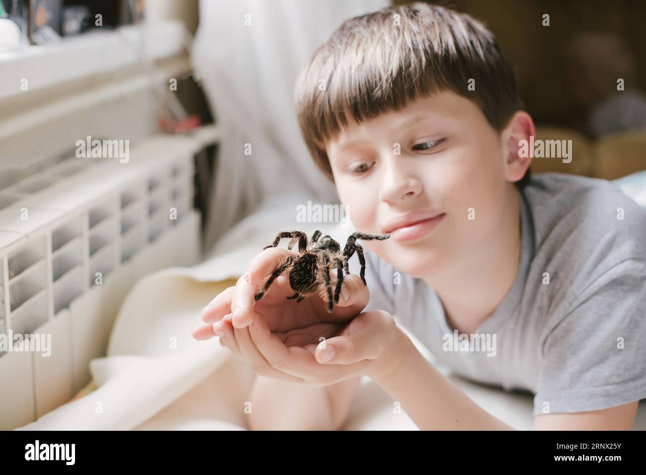 The spider reaches the tentacles to the child's face. Breeding ...