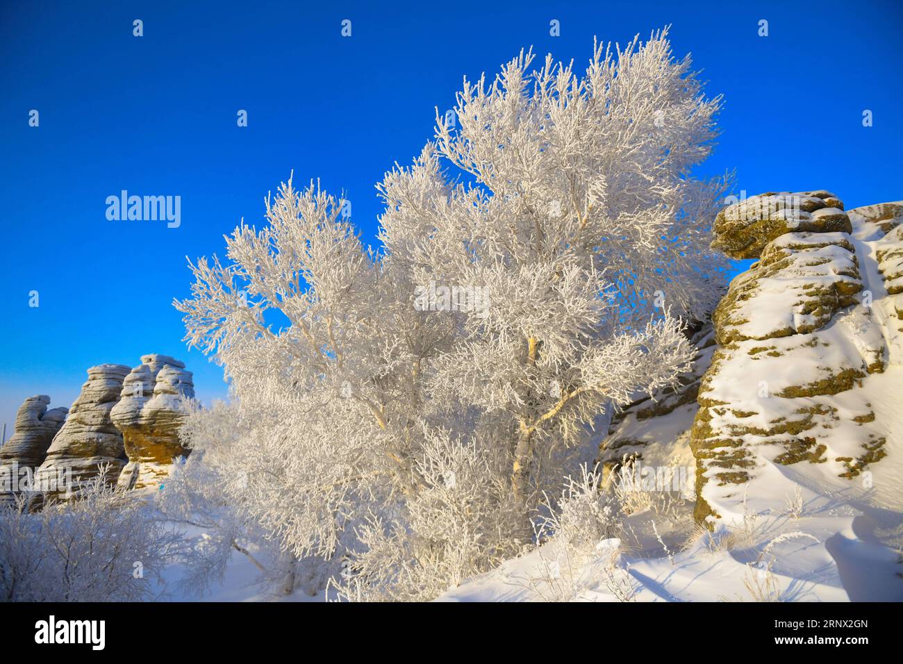 Hexigten global geopark hi-res stock photography and images - Alamy