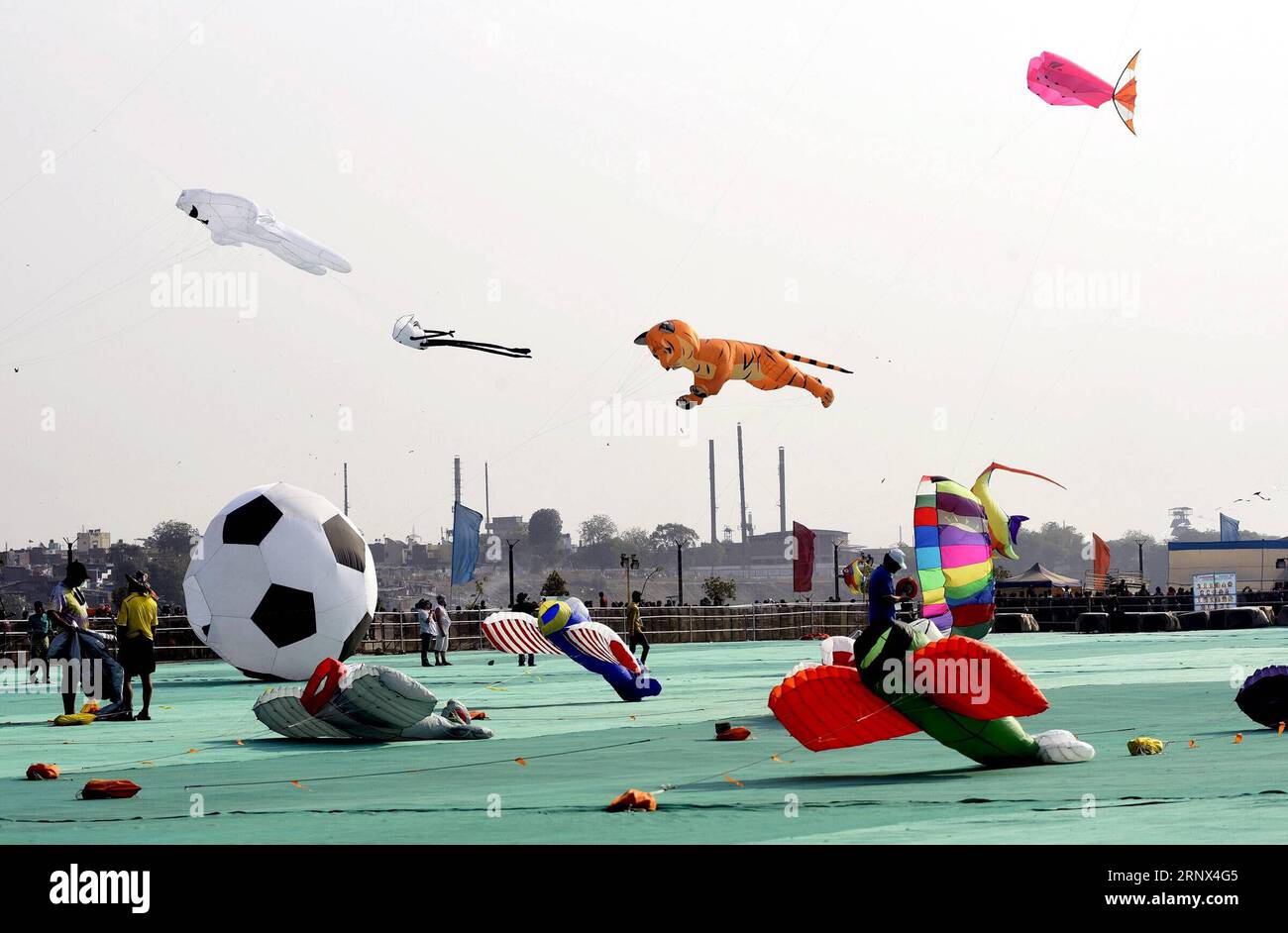 Different shapes of kites hi-res stock photography and images - Alamy