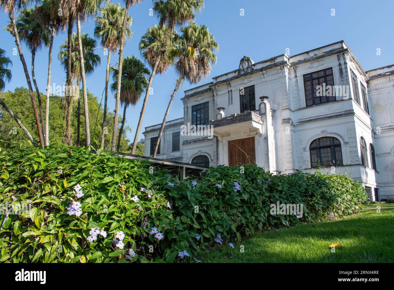 Brazil: walking in Rio de Janeiro Botanical Garden, founded in 1808 by ...