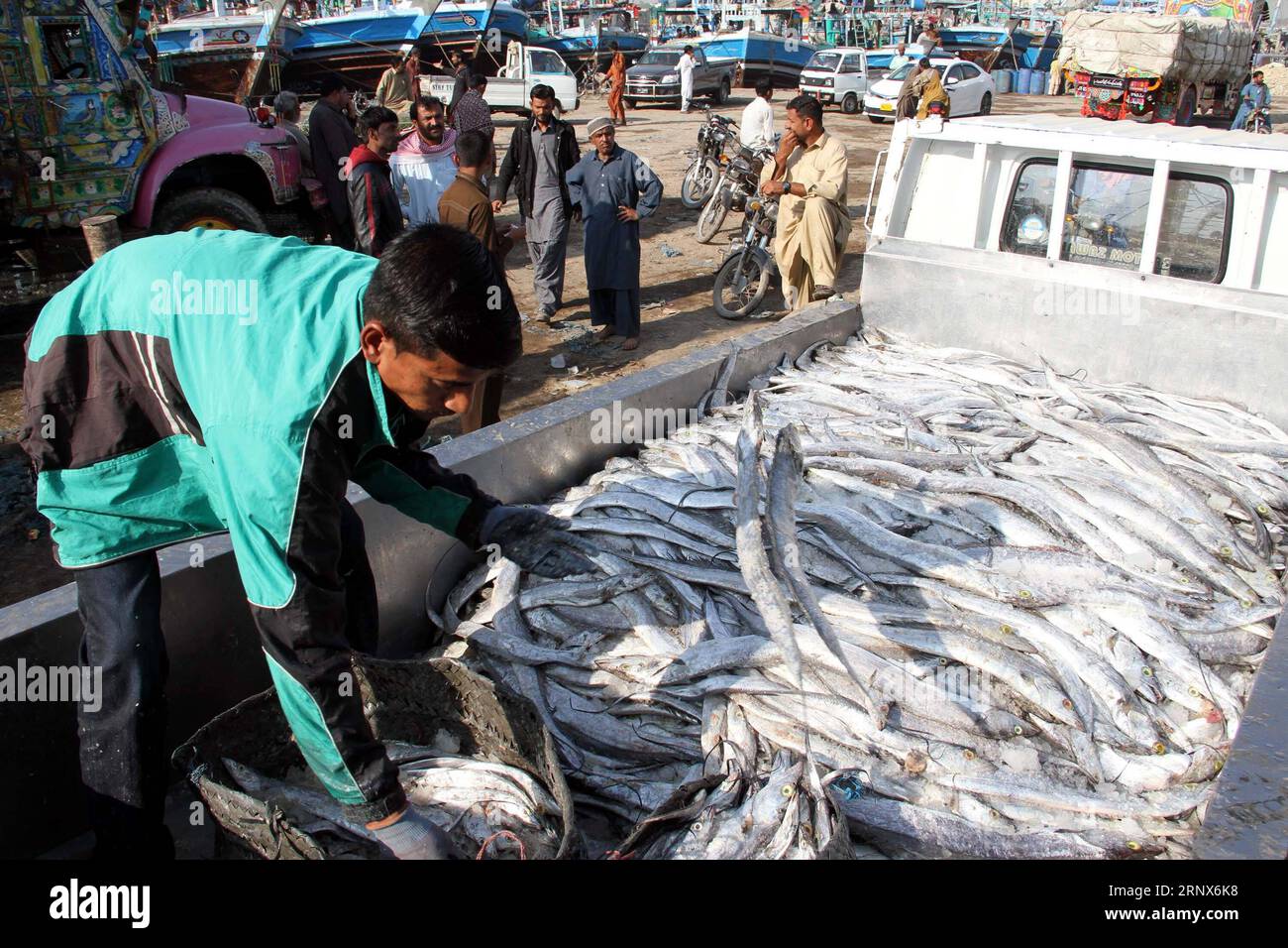 (180115) -- KARACHI, Jan. 15, 2018 -- A man loads fish on a vehicle in ...