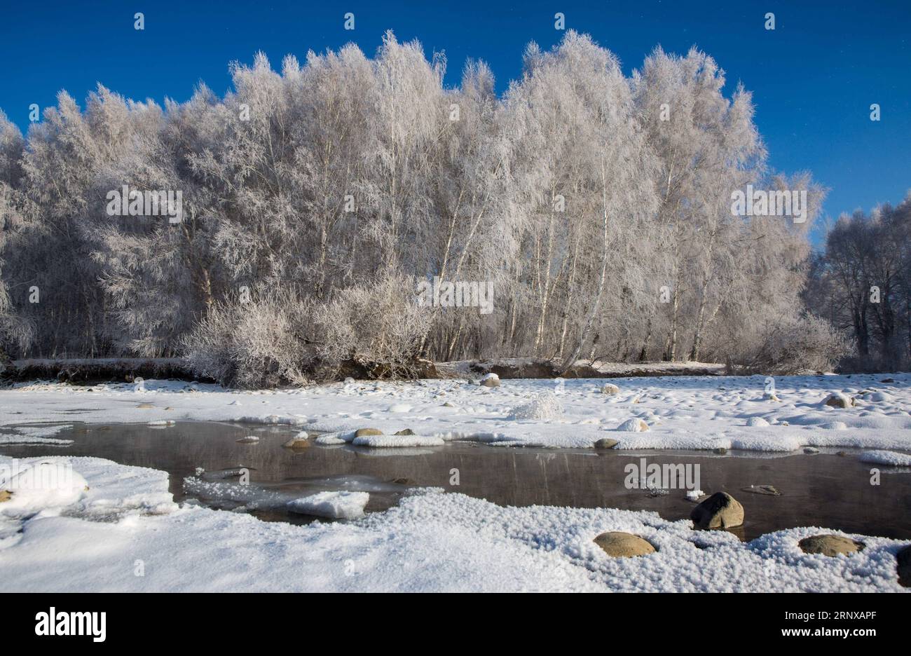 Burqin hi-res stock photography and images - Alamy