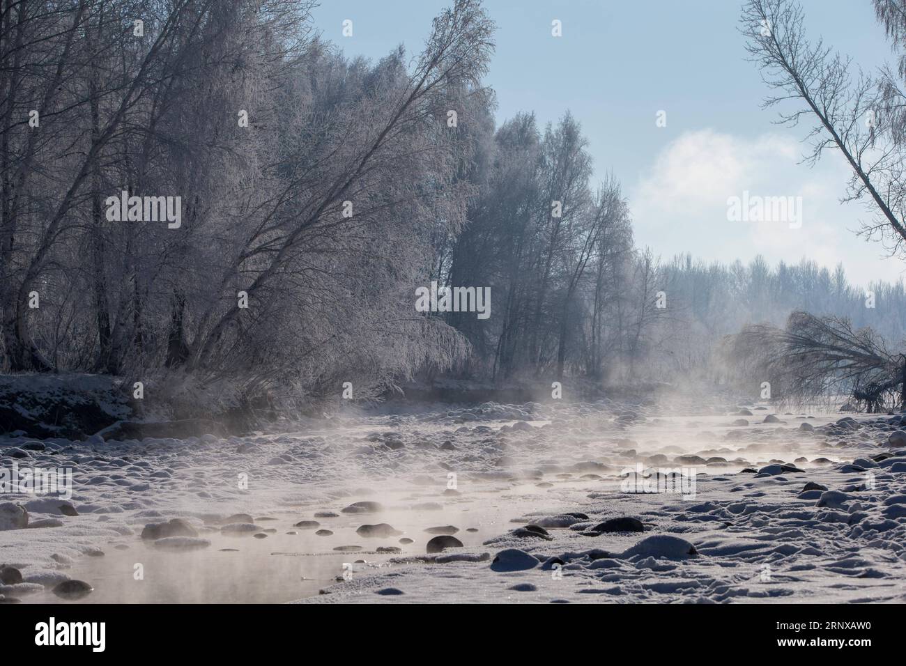 Burqin hi-res stock photography and images - Alamy