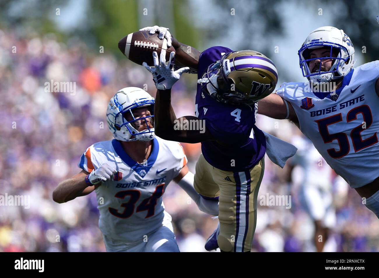 Seattle, WA, USA. 02nd Sep, 2023. Washington Huskies wide receiver ...