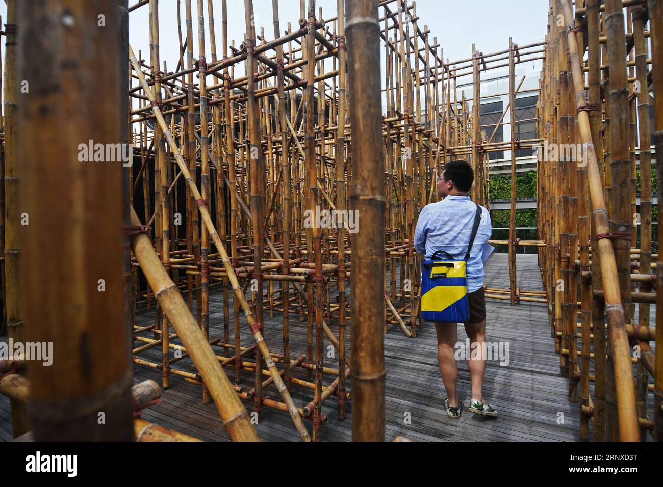 (180123) -- SINGAPORE, Jan. 23, 2018 -- A man walks through the bamboo ...