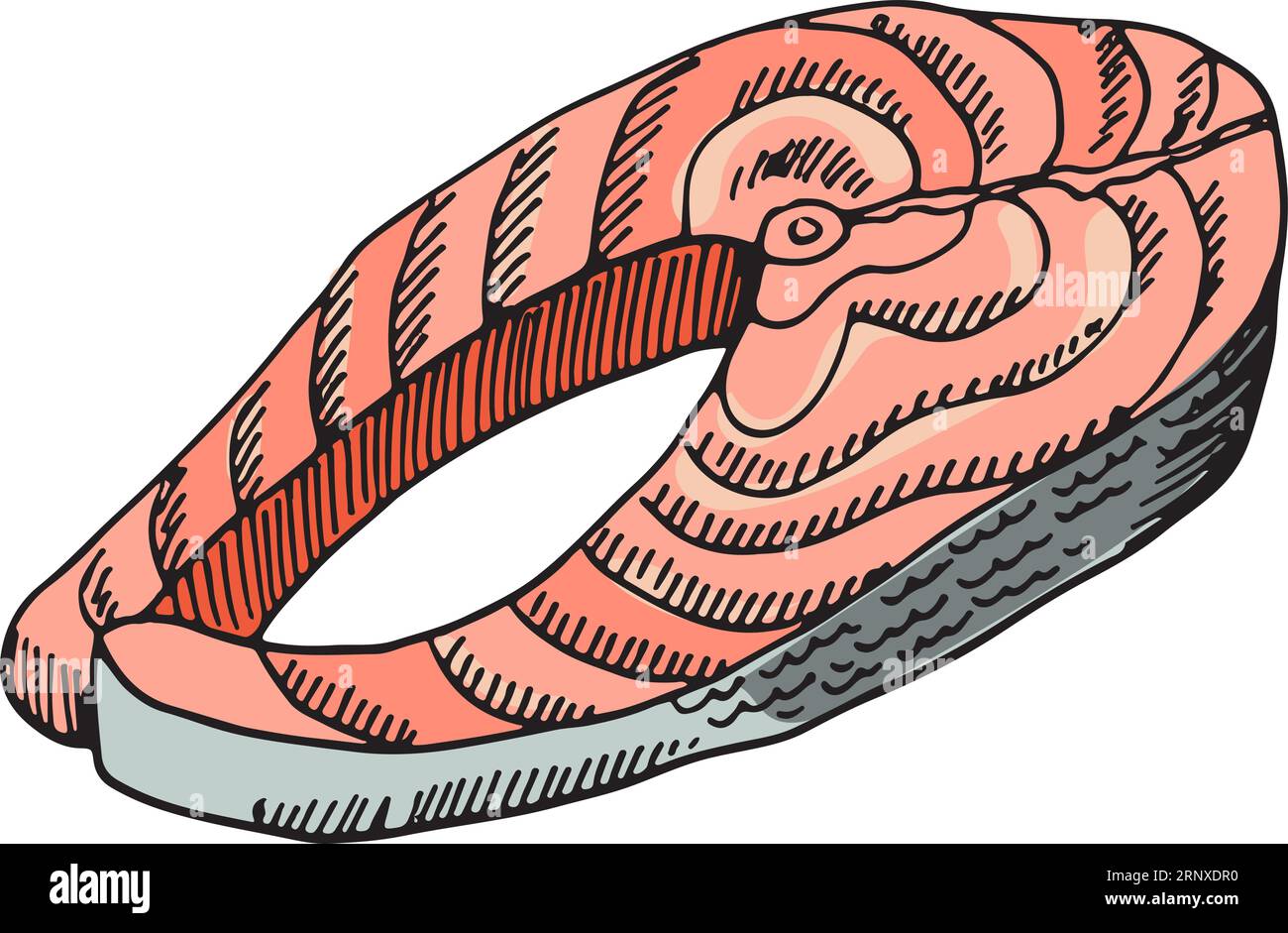 Raw fish cut. Seafood menu steak illustration Stock Vector Image & Art ...