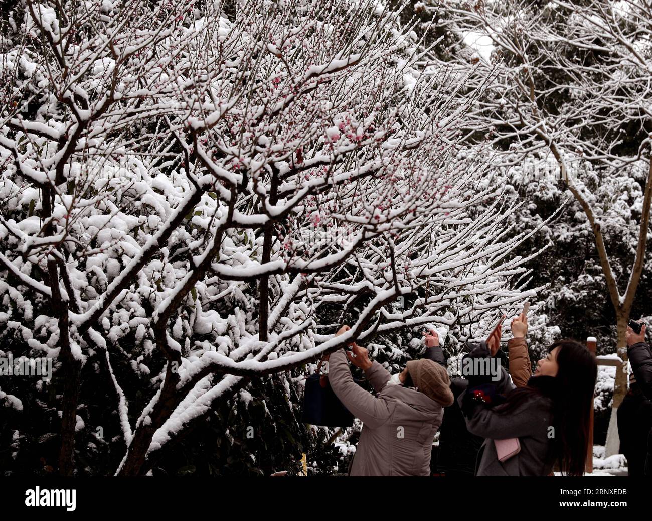 Shanghai snow hi-res stock photography and images - Alamy