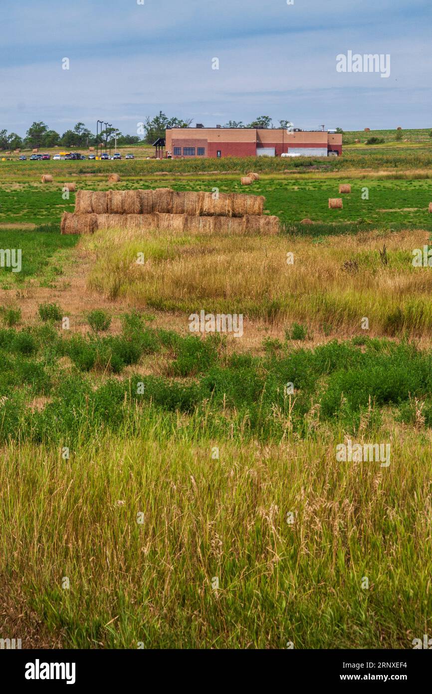 Grain farming and harvesting in Nebraska in late summer Stock Photo - Alamy