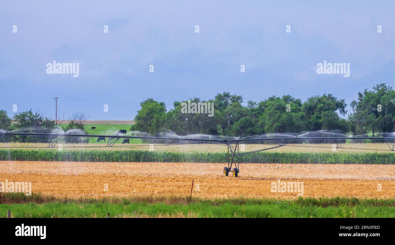 Center Pivot Irrigation machine on Nebraska farm Stock Photo - Alamy